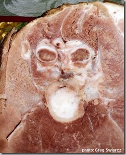 Nutwood Junction: Waiter, tell my food to stop looking at me